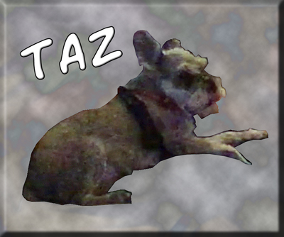 king-taz